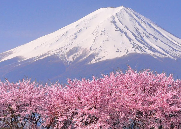 Traditional Yukata Kimono Plus Size - Whimsical Night Sky in Blue ...